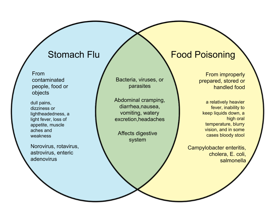 Bloody Stool Food Poisoning Stools Item