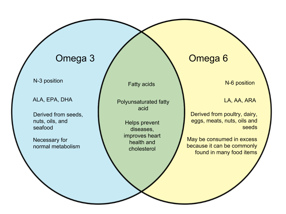 Difference Between Omega 3 And Omega 6 WHYUNLIKE COM Difference Between Omega 3 And Omega 6 WHYUNLIKE COM